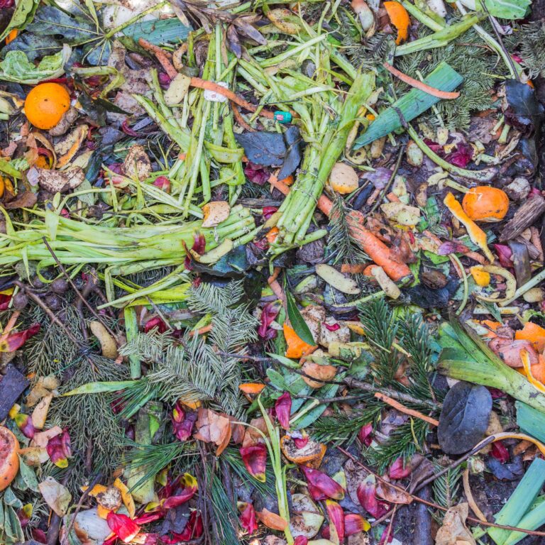 Le compostage individuel - Les Épigées